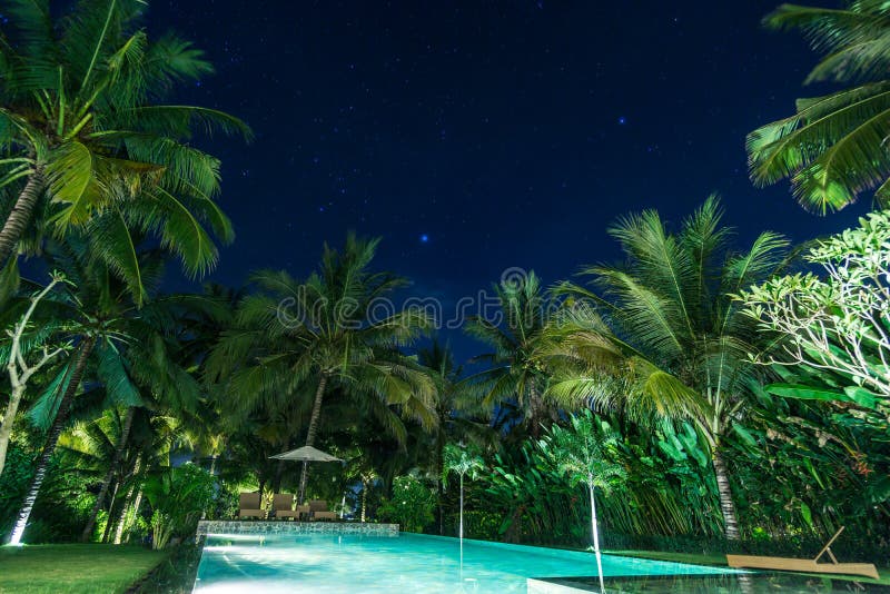 Swimming Pool with Palm Trees at Night Stock Image - Image of landscape ...