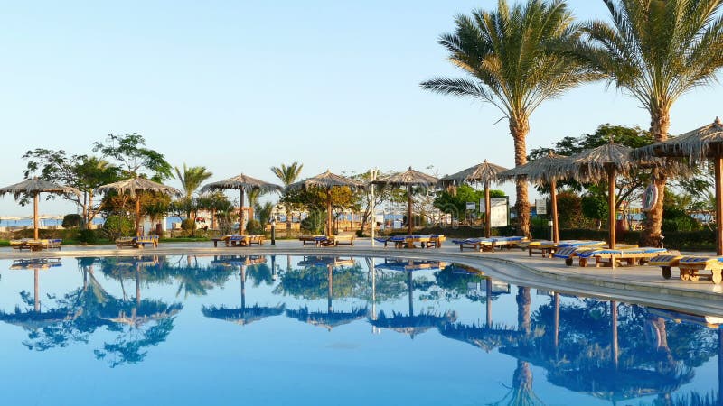 Swimming Pool with Palm Trees in Resort at Morning Stock Footage ... Swimming Pool with Palm Trees in Resort at Morning Stock Footage ...