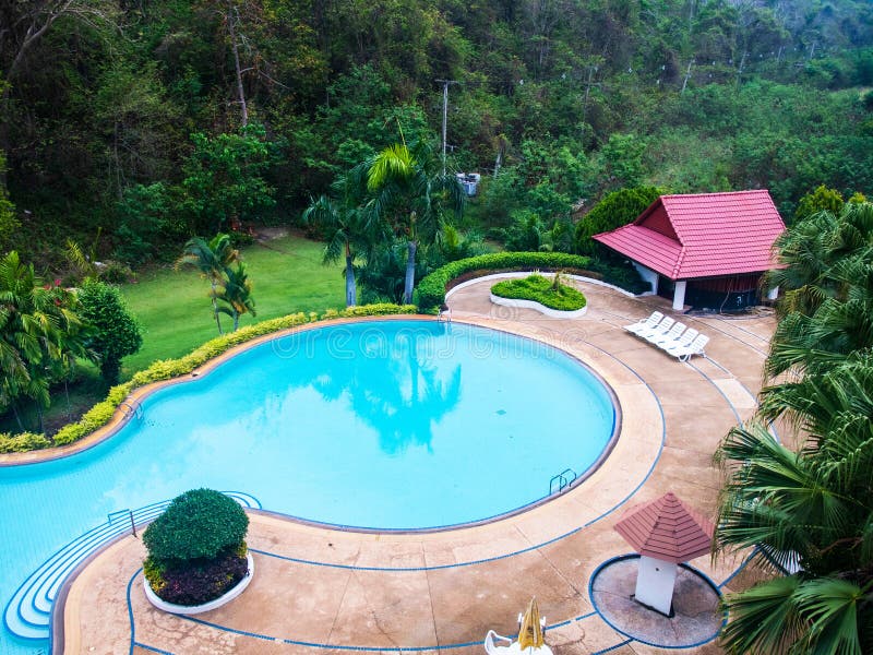 Swimming pool stock photo. Image of swimming, swim, tree - 37778032