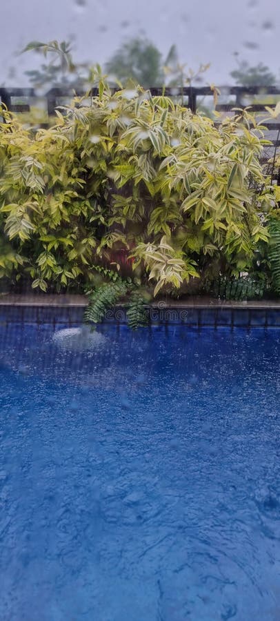 Swimming Pool on a Rainy Day Stock Image - Image of light, green: 264238263