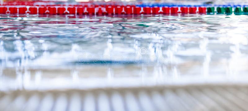 Swimming Pool Ready for Swimming Competition Stock Photo - Image of ...