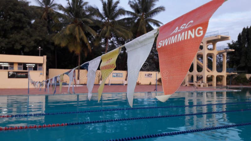 Swimming Pool Ready To Race Stock Image - Image of freestyle, champion ...
