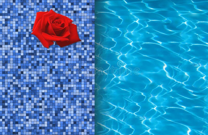 Swimming Pool and Red Rose on Tile Ideal Stock Photo - Image of tile ...