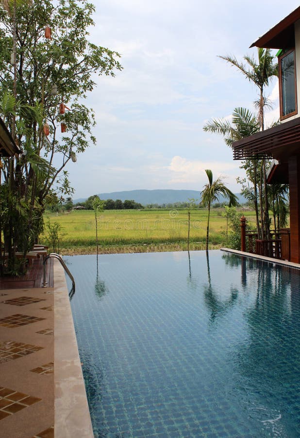 Swimming Pool in Beautiful Sce Stock Photo - Image of forest, thailand ...