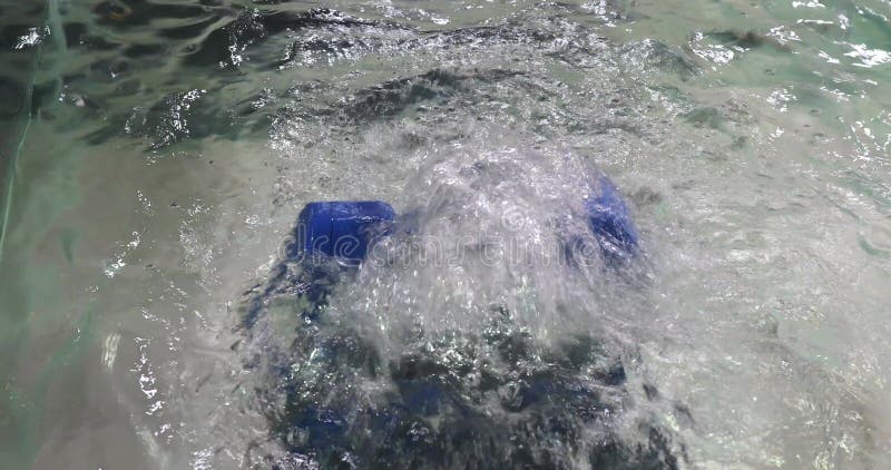 Pool Robot stock video. Video of pool, robotic, cleaning - 189339031