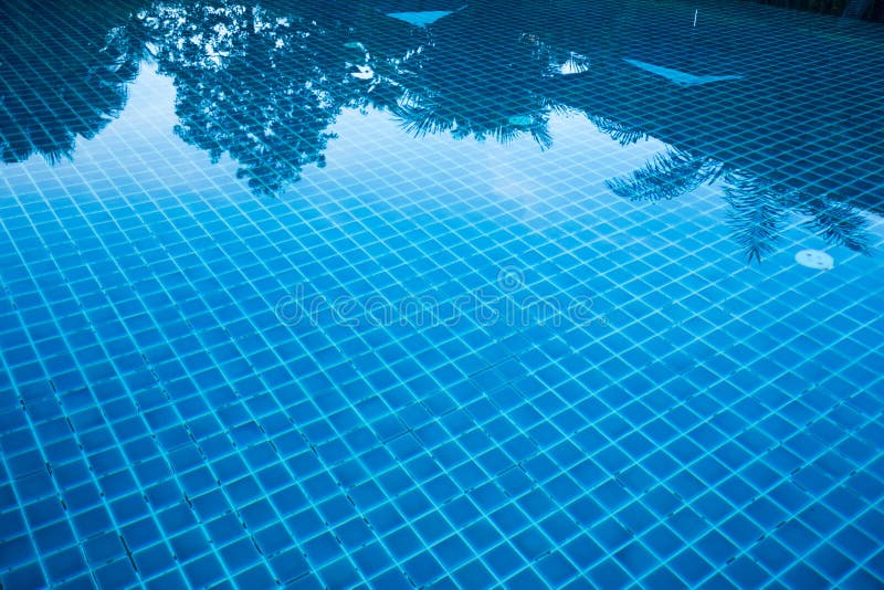 Swimming Pool with Shadow of Tree Stock Image - Image of adult ...