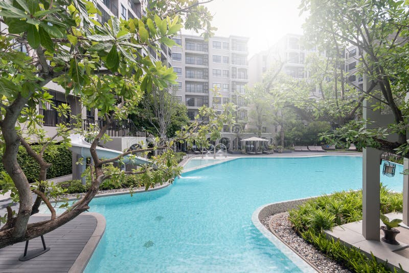 Shady Swimming hole stock image. Image of shining, swimming - 74699913