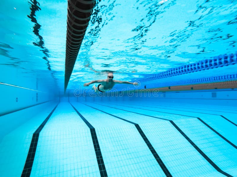 Swimming in the Pool at the Swimming Stadium Stock Photo - Image of ...