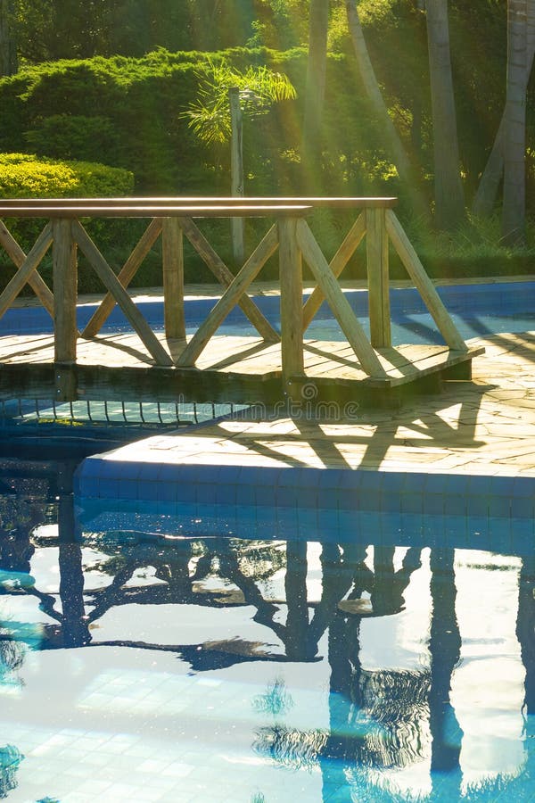 Swimming Pool in the Sun. Holidays in Brazil Stock Image - Image of ...