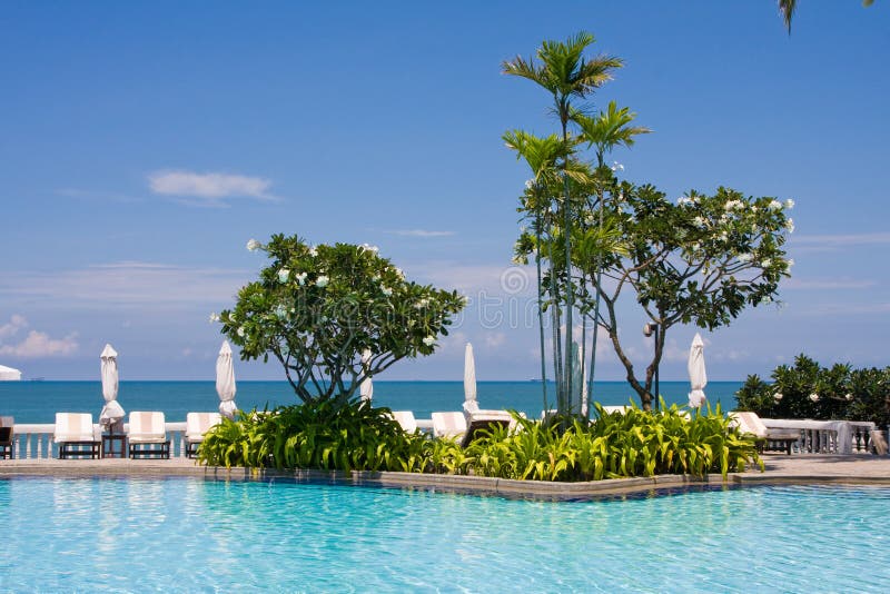Swimming Pool on a Sunny Day. Stock Photo - Image of pattaya, beach ...