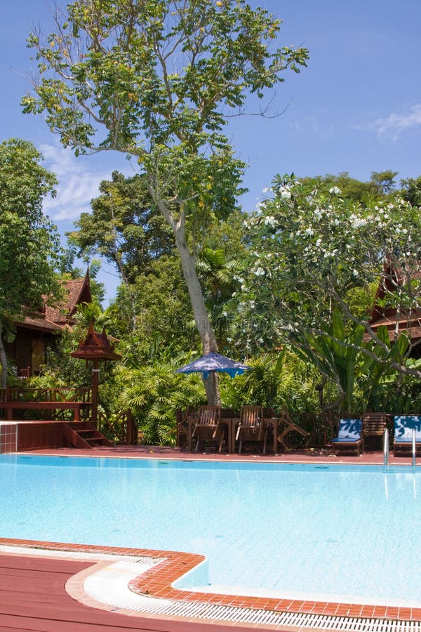 Swimming Pool on a Sunny Day Stock Photo - Image of sunbed, investment ...