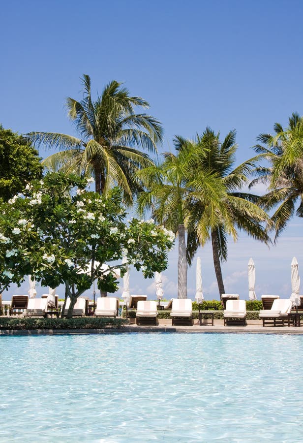 Swimming Pool on a Sunny Day. Stock Photo - Image of large, landscape ...