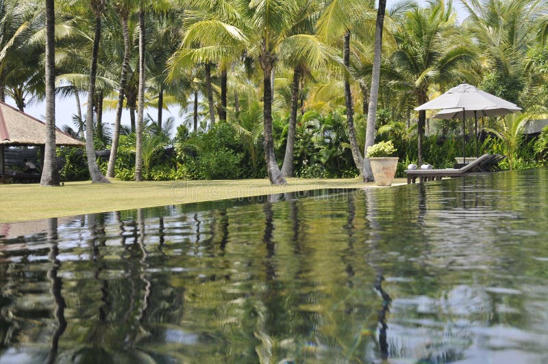 Swimming Pool, Thailand Phang Na Stock Photo - Image of island, water ...