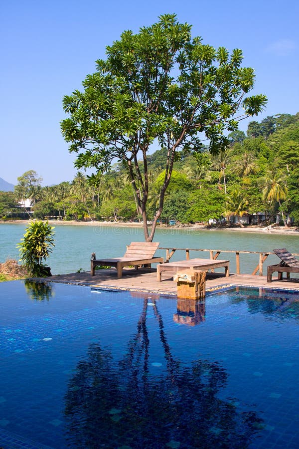 Swimming Pool and Tree Near the Sea Stock Photo - Image of outdoor ...