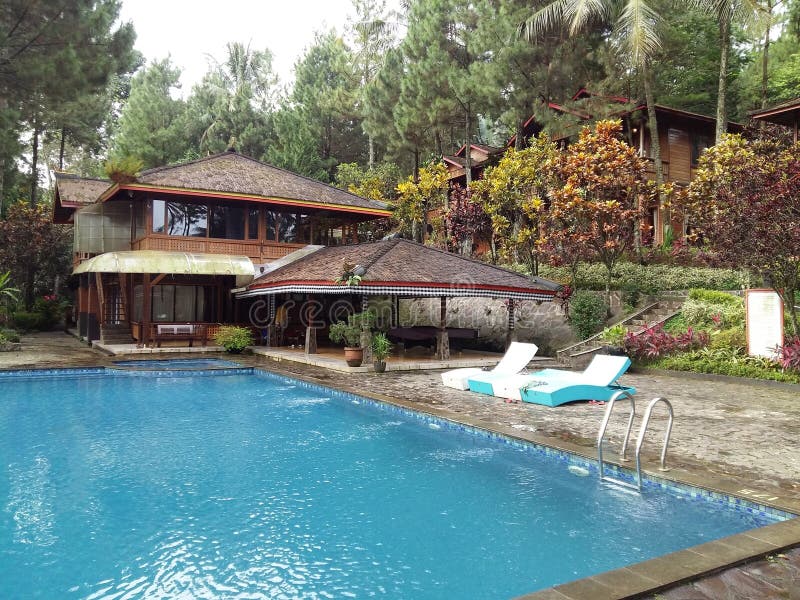 Swimming Pool among the Trees Stock Image - Image of building, villa ...