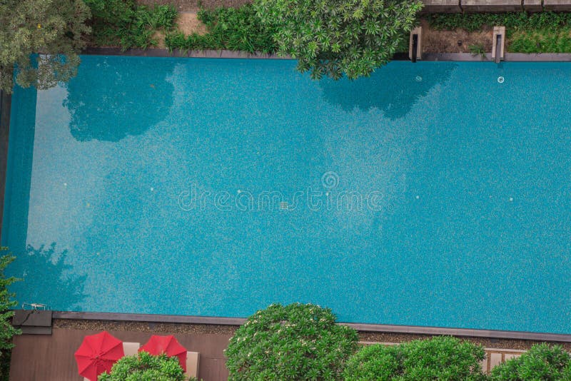 Swimming Pool with Trees and Umbrellas from a Top Down View from the ...