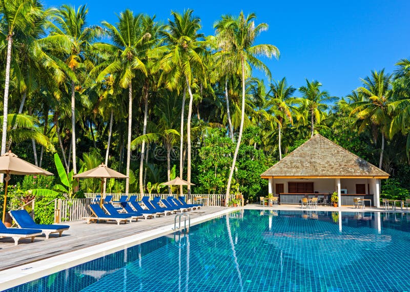 Swimming Pool in a Tropical Hotel Stock Photo - Image of bright, resort ...