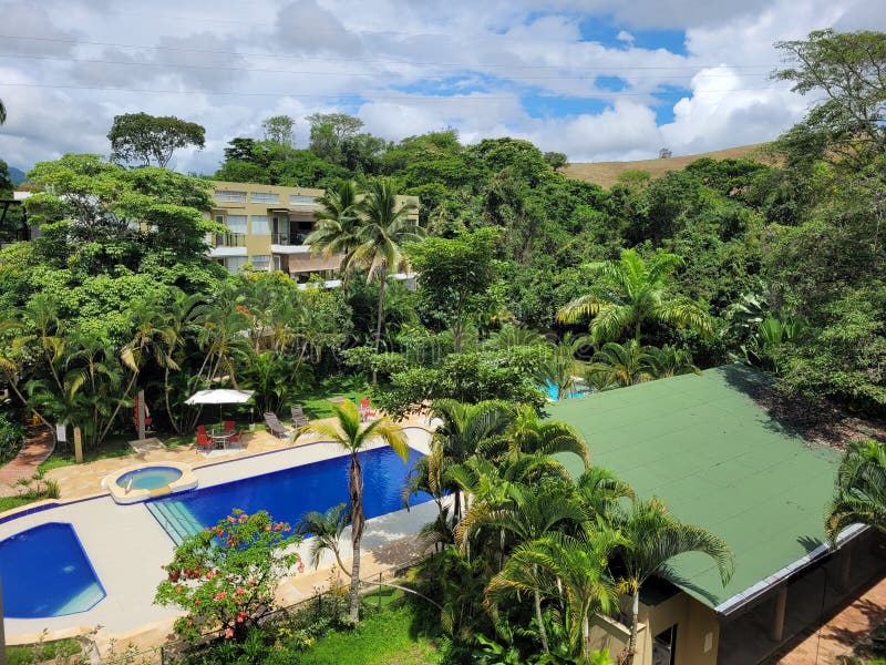 Swimming Pool Under the Palm Trees Stock Image - Image of swimming ...