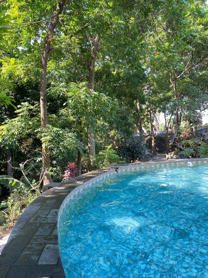 Shady Swimming hole stock image. Image of shining, swimming - 74699913