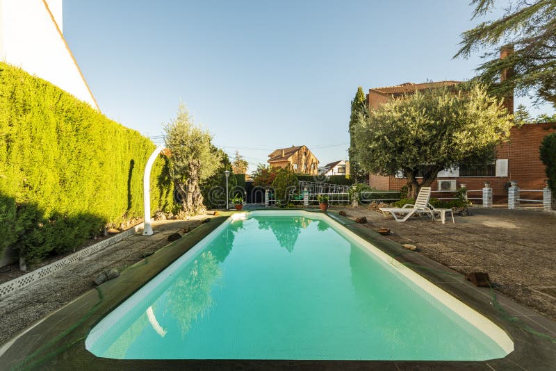 Swimming Pool of a Villa with Several Olive Trees, White Hammocks and ...