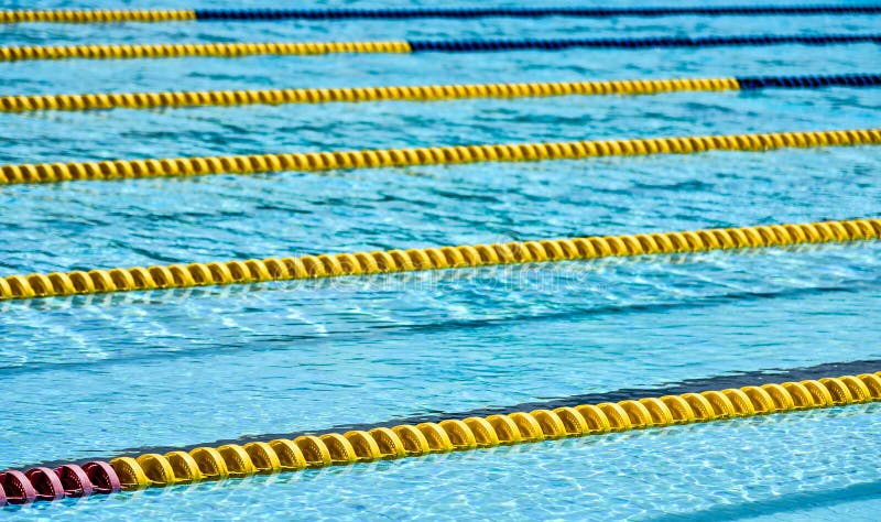 488 Pools Competition Stock Photos - Free & Royalty-Free Stock Photos ...