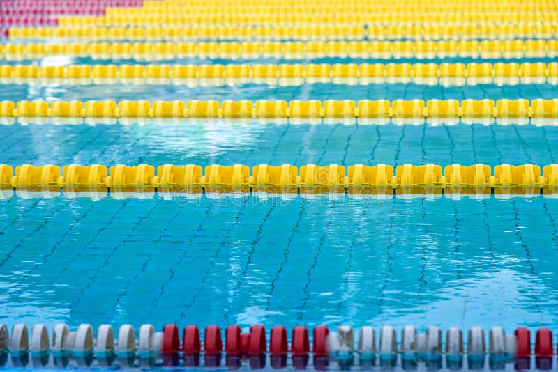 488 Pools Competition Stock Photos - Free & Royalty-Free Stock Photos ...