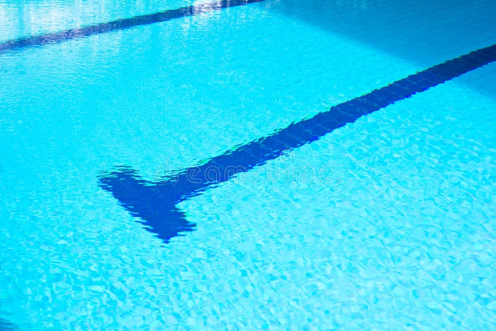 Swimming Races in University Stock Image - Image of dividers, healthy ...