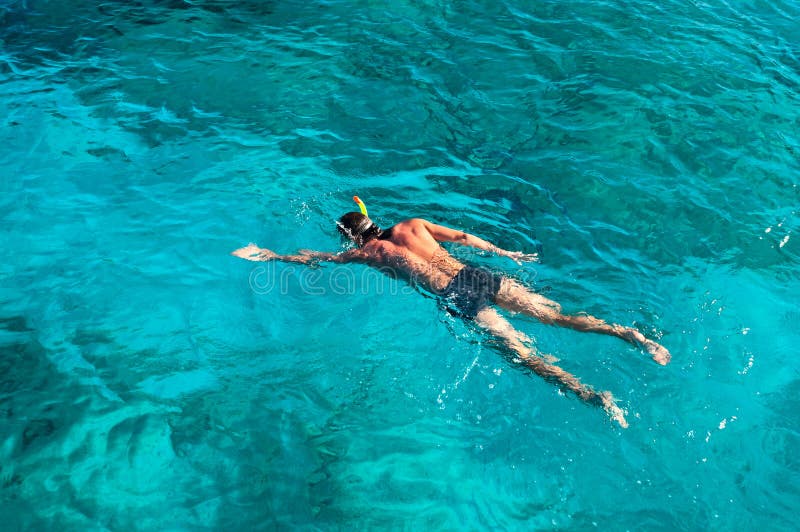 Swimming in sea stock image. Image of azure, ocean, nature - 17356485