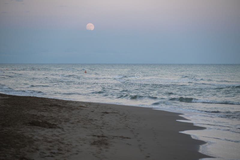 Swimming in the Sea Under the Moonlight Stock Photo - Image of ...