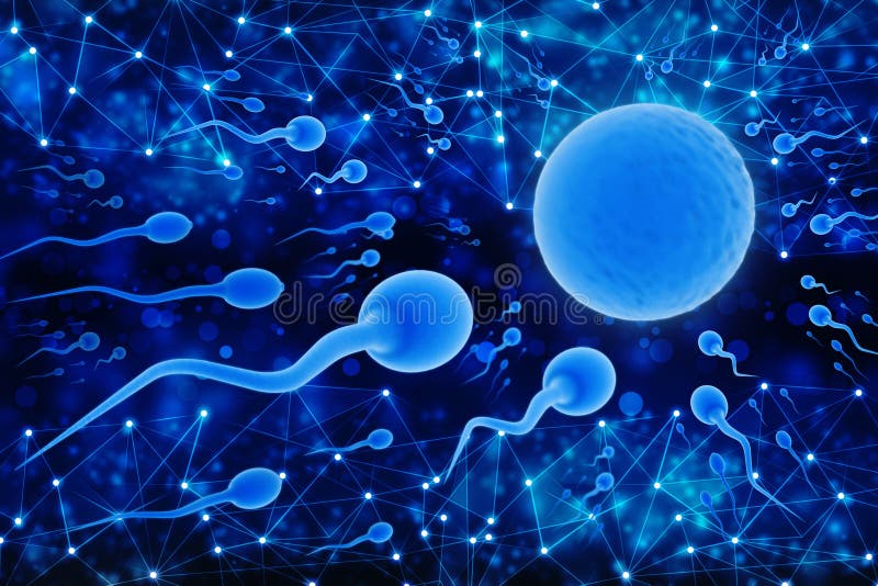 Sperm And Egg Cell On Digital Background 3d Illustration Stock