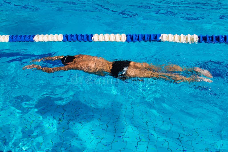 Swimming - Stock Image stock photo. Image of fitness - 50262106