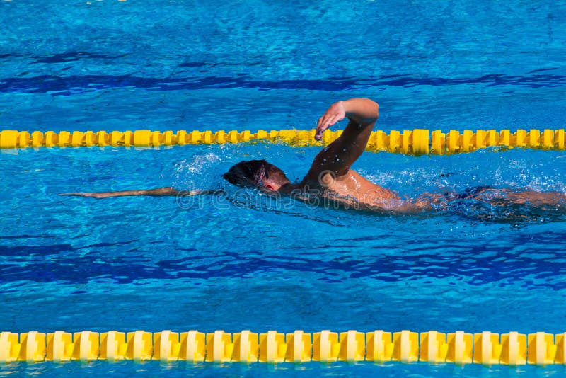 Swimming - Stock Image stock photo. Image of summer, sport - 50872580