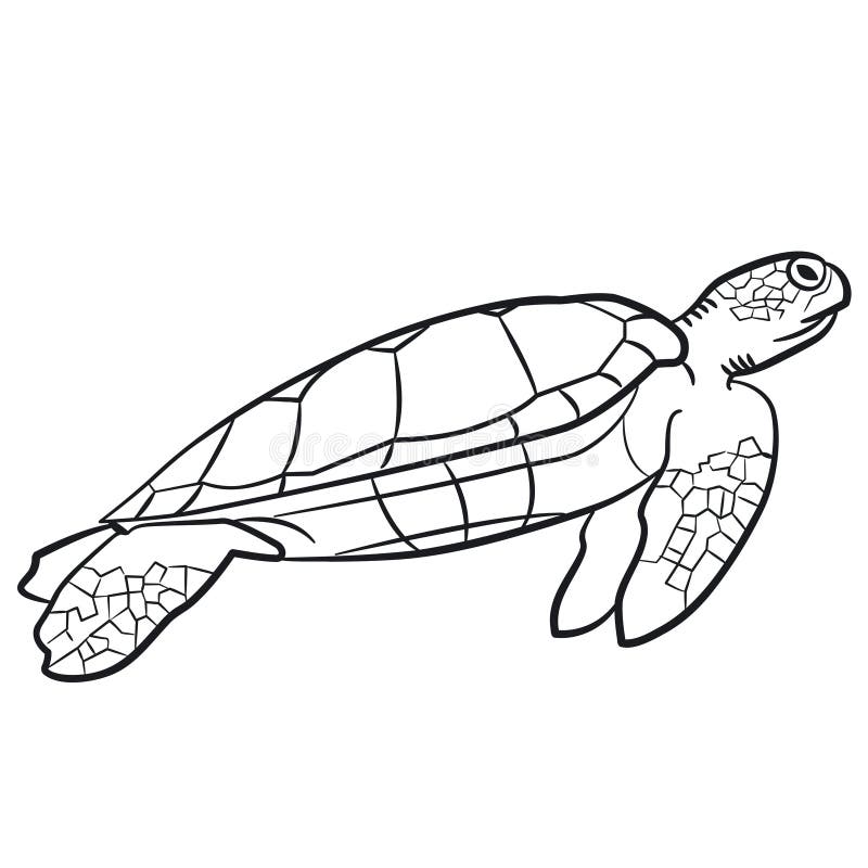 Swimming sea turtle stock illustration. Illustration of turtles - 37350814