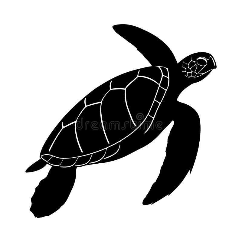Side Turtle View Stock Illustrations – 866 Side Turtle View Stock ...
