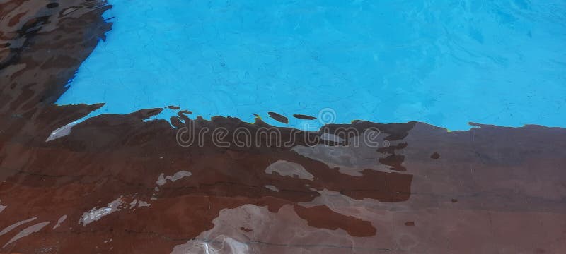 Swimming with the waves stock photo. Image of poster - 254708770