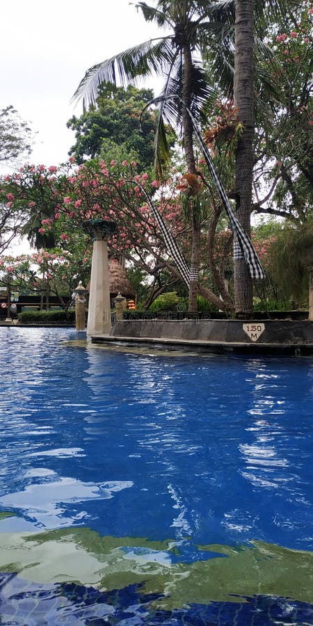 Swimmingpool stock image. Image of waterboomb, swimming - 202632805