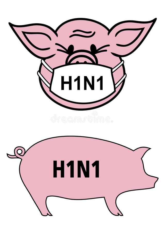 Swine flu, vector stock vector. Illustration of medicine - 10961353