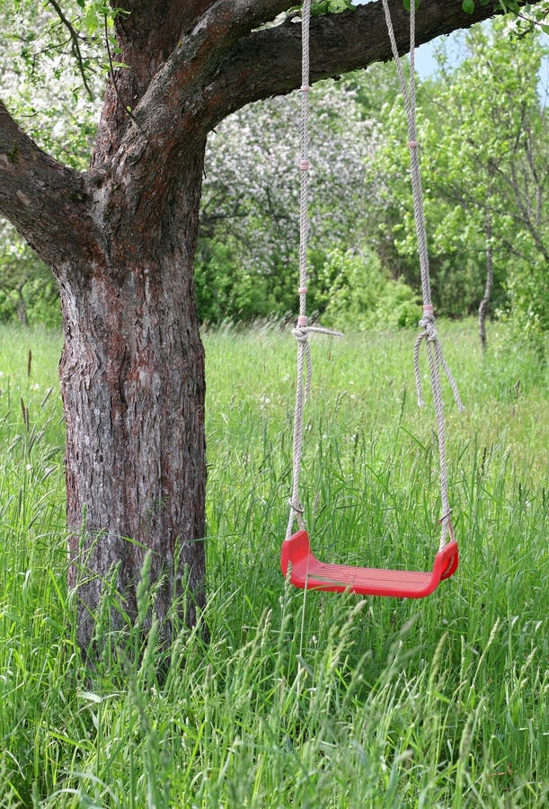 Tire Swing stock photo. Image of swing, tree, kids, rope - 6200498