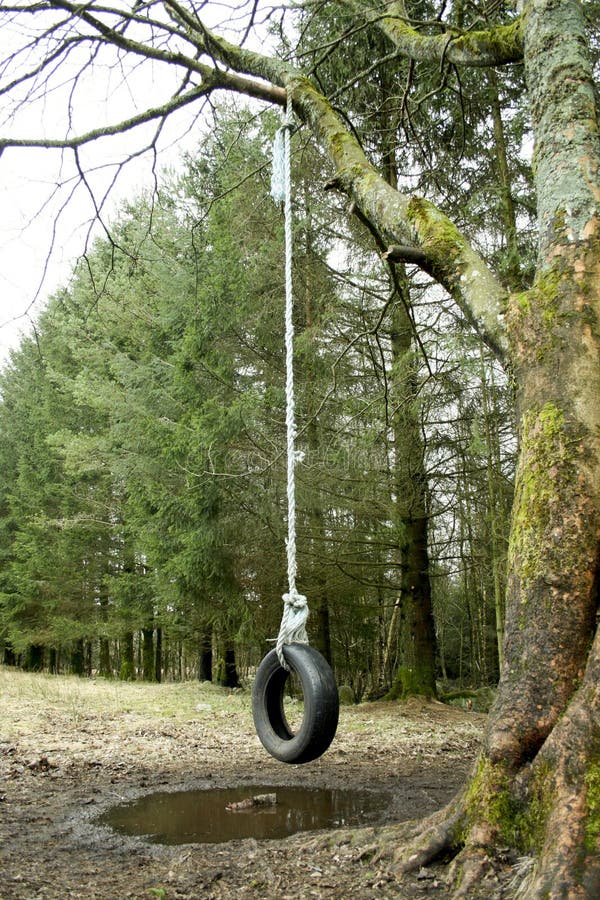Swing stock image. Image of wild, rope, tyre, forest, tree - 8507647