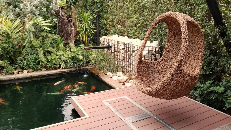 The Swing Bird Net in the Pool Garden Stock Photo - Image of resort ...