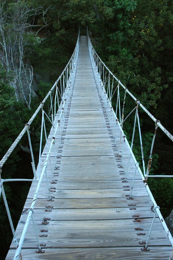Swing Bridge stock photo. Image of park, path, ravine - 6759242