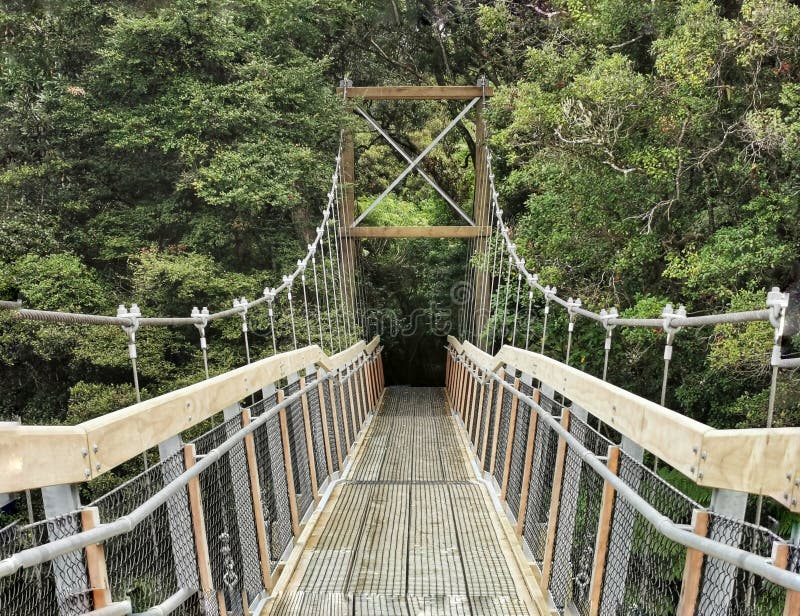 A Swing Bridge on a Walking Track Stock Photo - Image of arch, walking ...