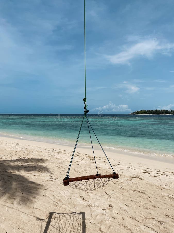 Swing Chair Hanging from a Palm Tree by Ocean Stock Image - Image of ...