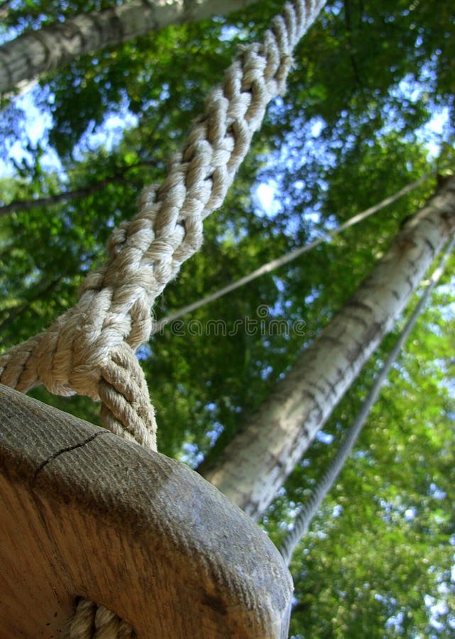 Swing from the Close-up Look Stock Photo - Image of tree, looking: 21490624