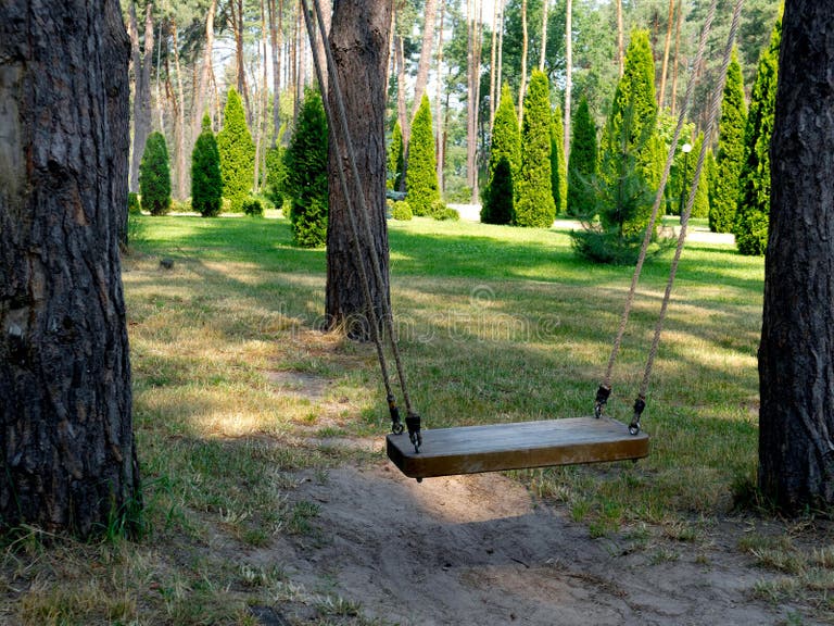 Swing stock photo. Image of rope, tree, area, summer - 289177836