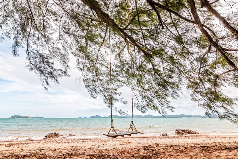 A Swing Hang Under the Tree on the Beach. Stock Photo - Image of ...
