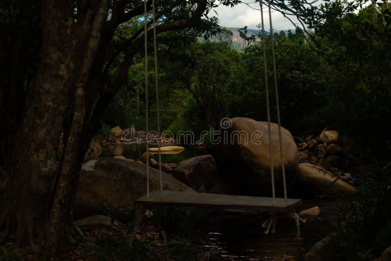 Swing Hanging from a Tree Near a Water Stream Stock Photo - Image of ...