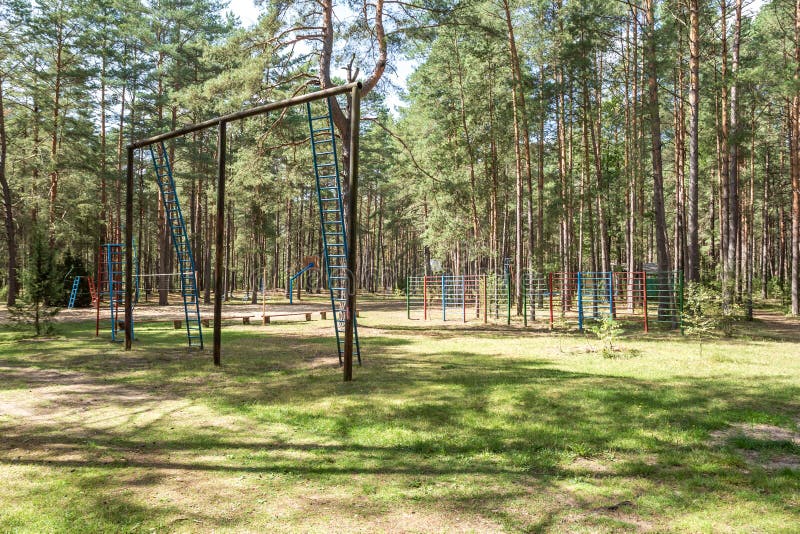 Swing and Horizontal Bars on Playground in Pine Forest Stock Photo ...
