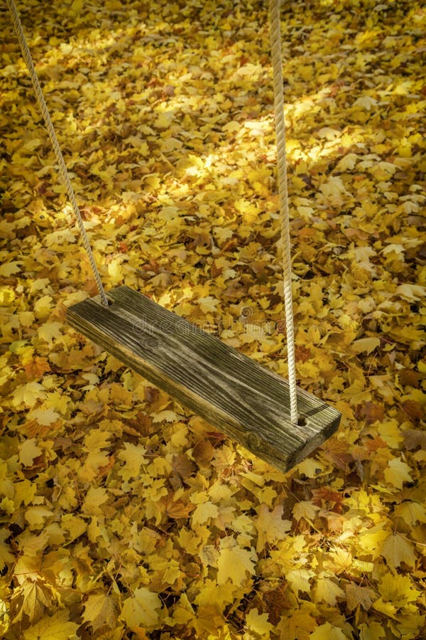Swing and Leaves stock image. Image of fall, natural - 47380465