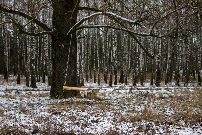 Swing stock image. Image of snow, beautiful, magic, winter - 51106999